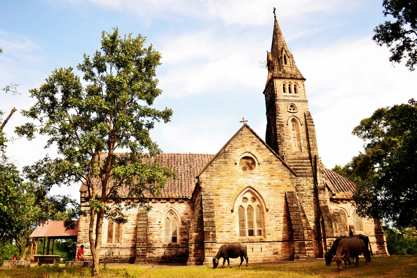 20 Places to Visit in Pachmarhi, Tourist Places & Attractions