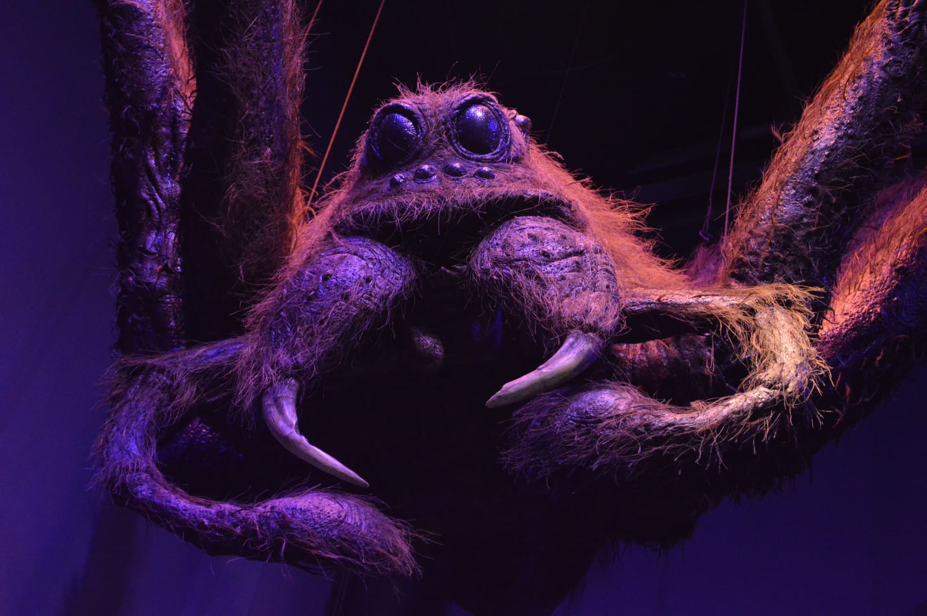 Harry Potter Studio, London: Explore The Iconic Movie Locations