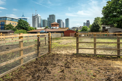 9 Farms In London | Get Yourself Indulged In Urban Agriculture