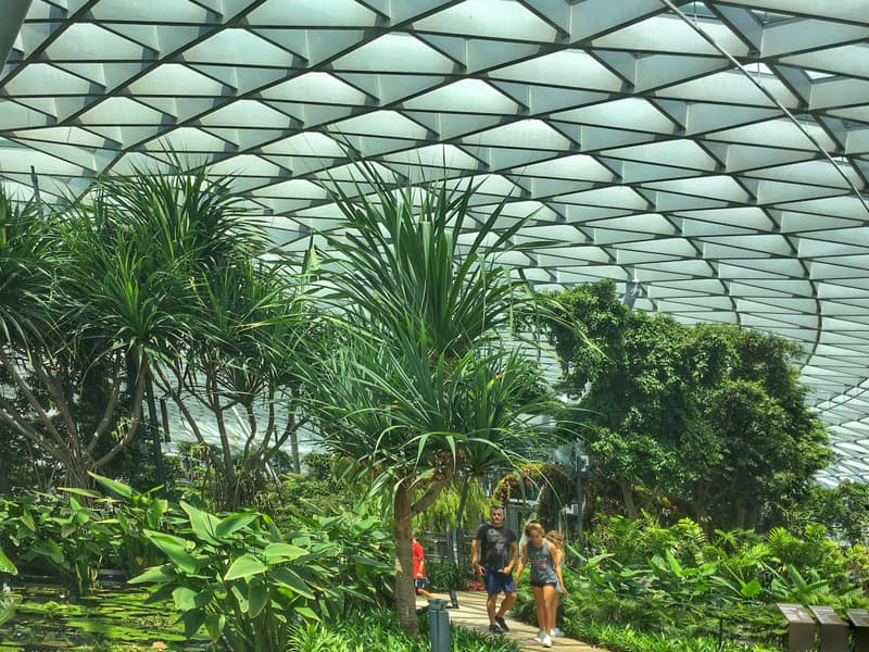 Jewel Changi Canopy Park Guide: Experience Nature and Adventure