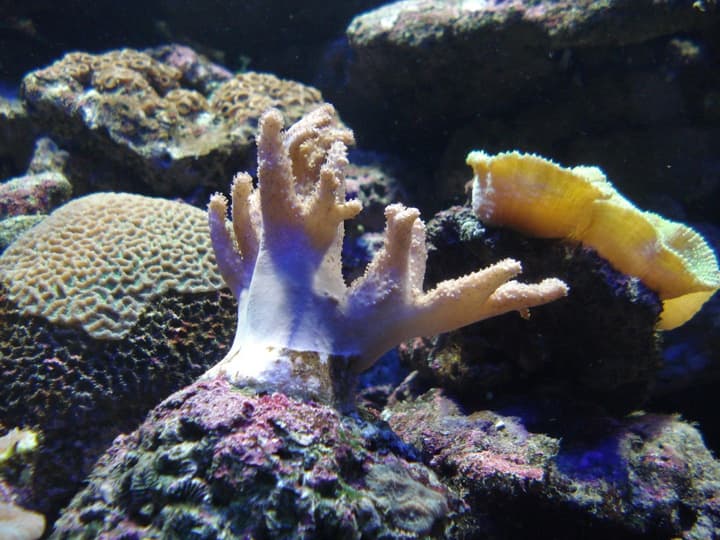 11 Zones at Underwater World Langkawi To Explore!