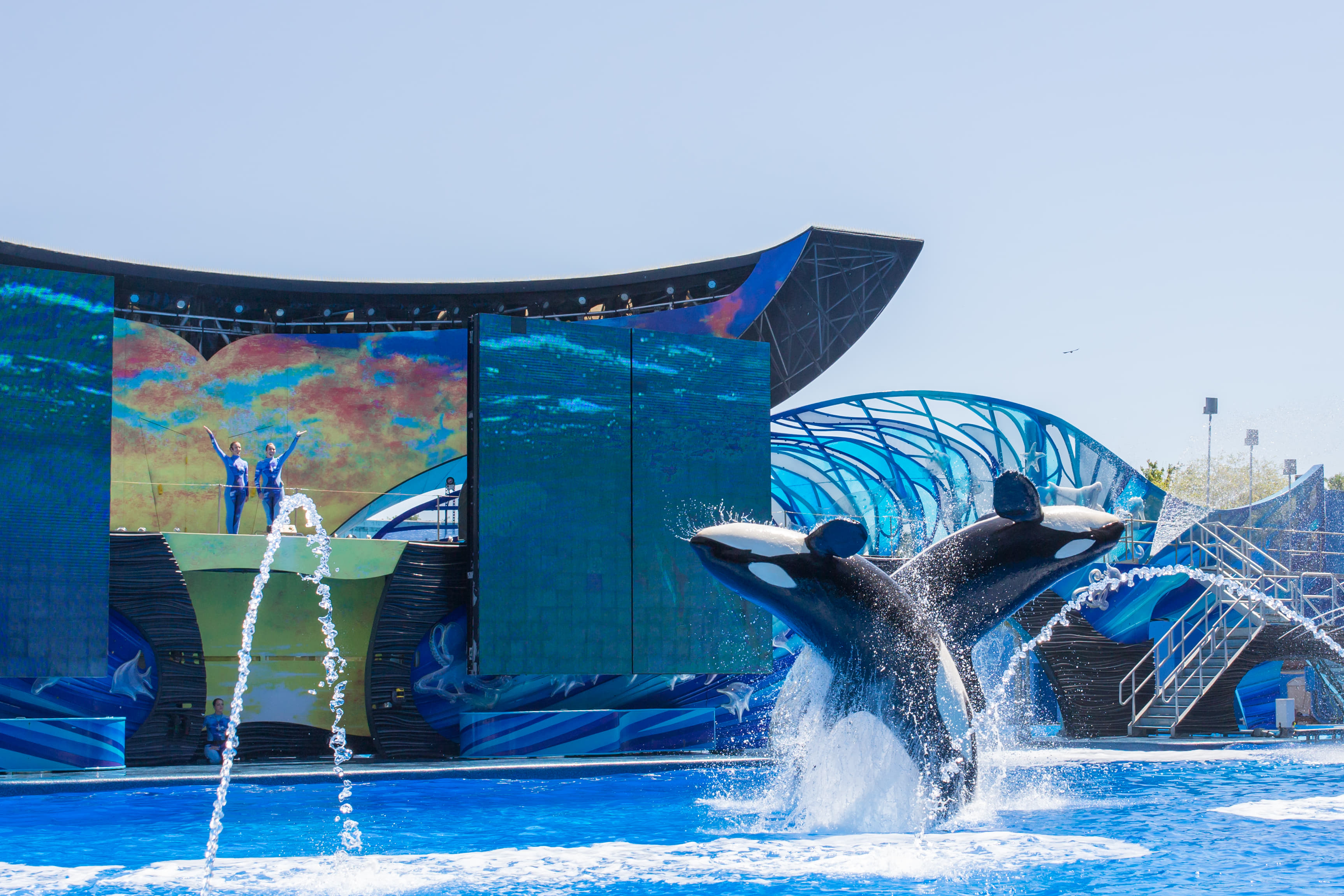 Things To Do In SeaWorld Orlando | Unleash the Magic
