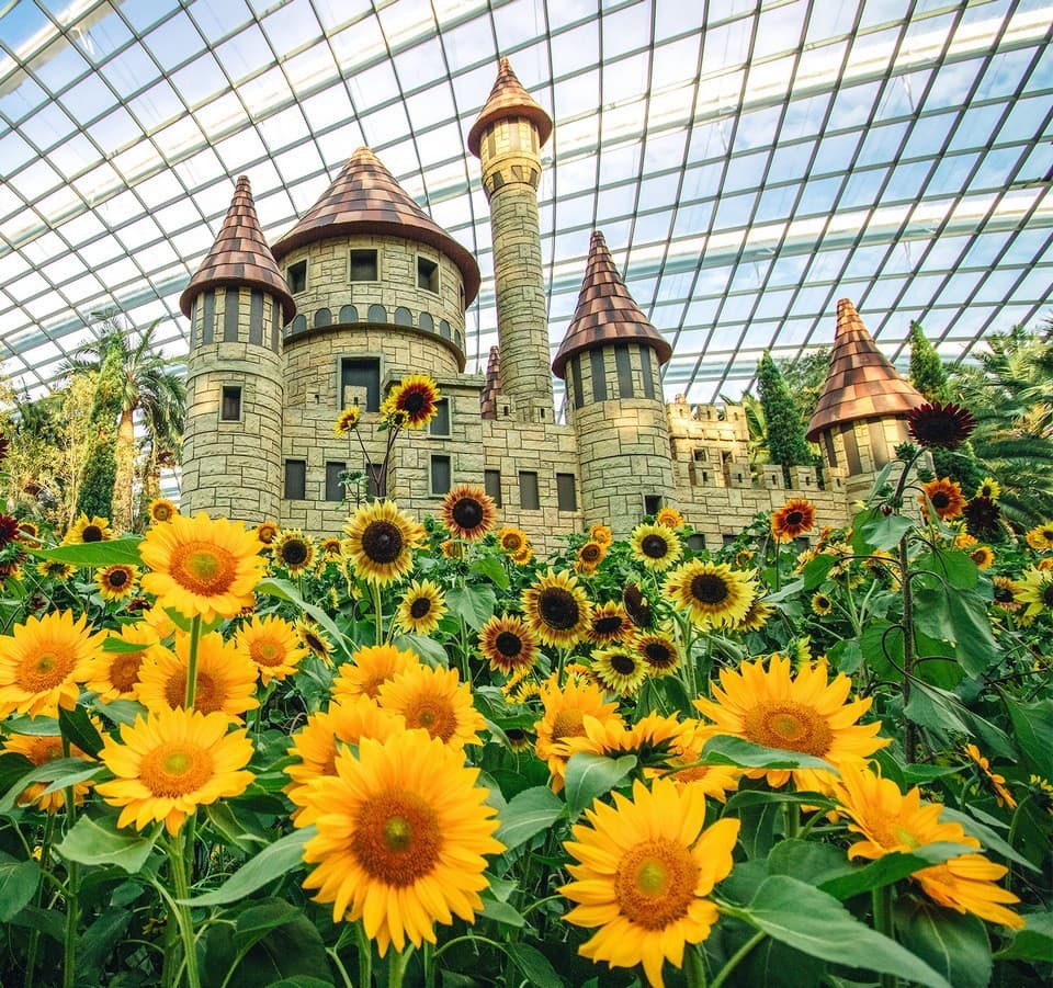 Flower Dome Tickets, Singapore | Visit Largest Glass Greenhouse