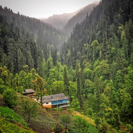 Jibhi Tirthan Valley Tour Package