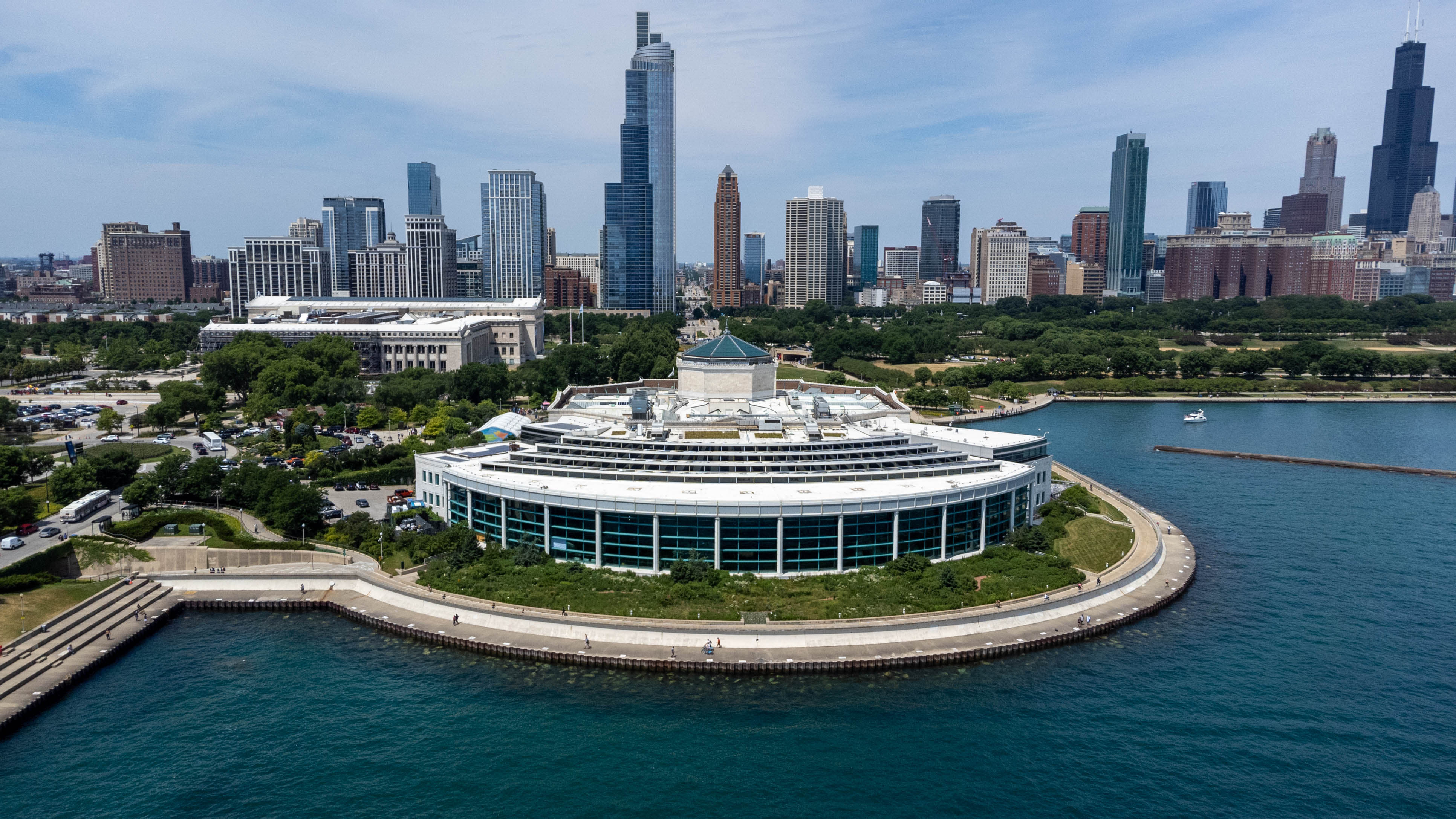 Shedd Aquarium, Chicago: How To Reach, Best Time & Tips