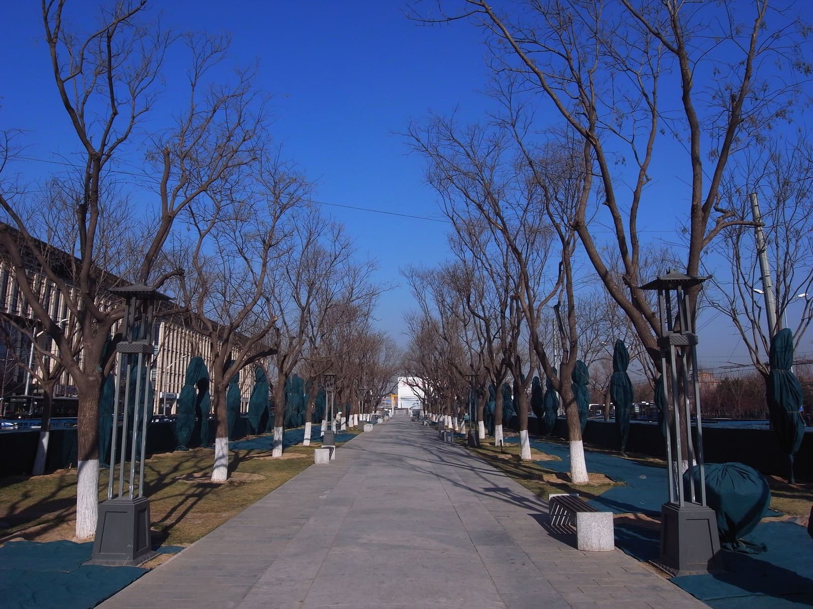 18 Things To Do In Beijing For An Impeccable & Exciting Holiday