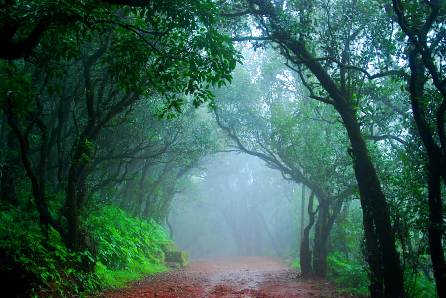 3 Days Matheran Tour Package | Experience The Natural Beauty