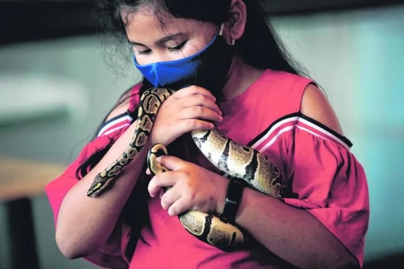 Siam Serpentarium Tickets | Book & Get Upto 30% Off