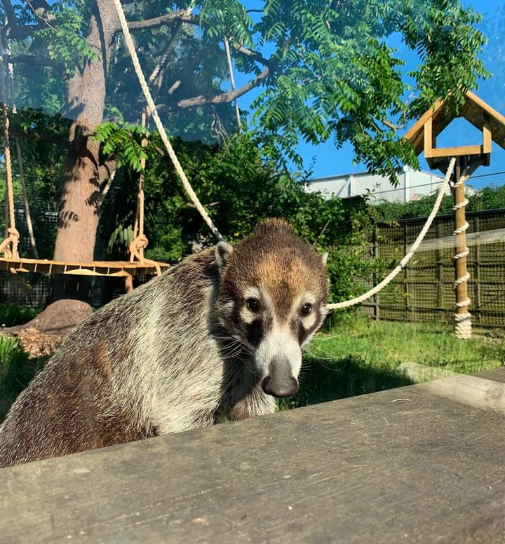 9 Zoos In London For An Amazing Wildlife Experience