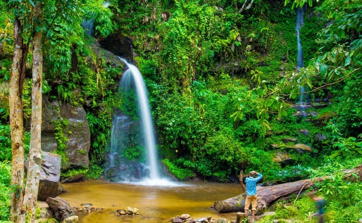 9 Chiang Mai Nature Attractions: Endure The Creation Of Wild