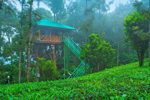 Munnar Tourism, India: Places, Best Time & Travel Guides 2023