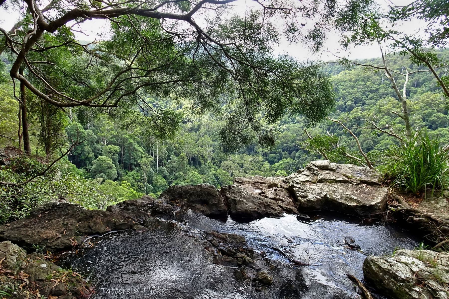 Springbrook National Park | A Lush And Verdant Escape