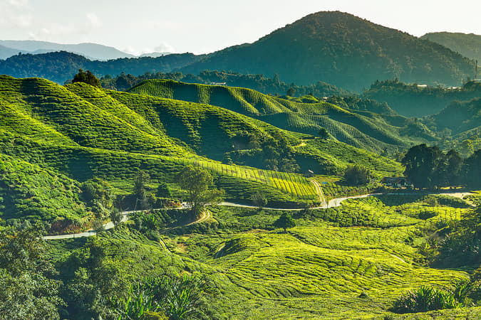 5 Places to Visit in Selangor, Tourist Places & Top Attractions