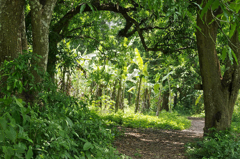 25 Places to Visit in Tibet, Tourist Places & Top Attractions