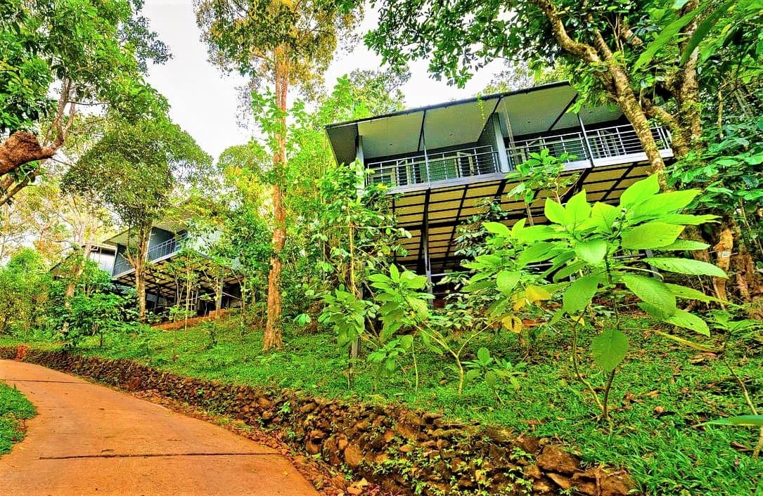 40 Luxury Resorts in Wayanad | Book Now & Get Upto 50% Off