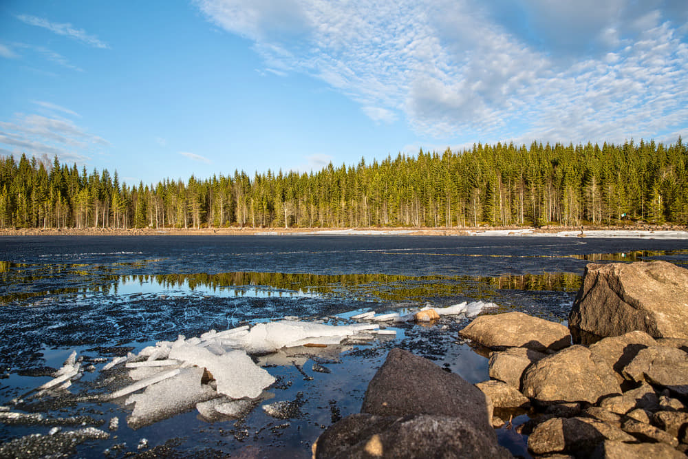30 Places to Visit in Oslo, Tourist Places & Top Attractions
