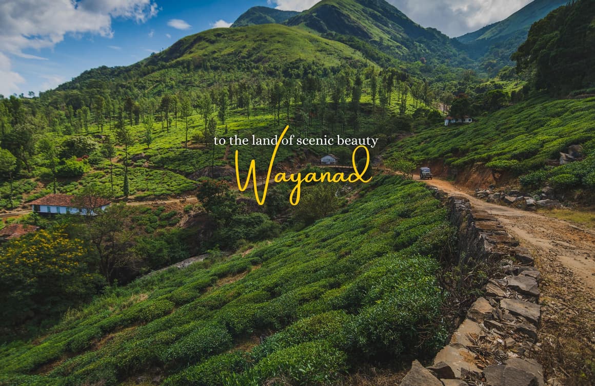 Quick Getaway to Wayanad | FREE Visit to Pookode Lake