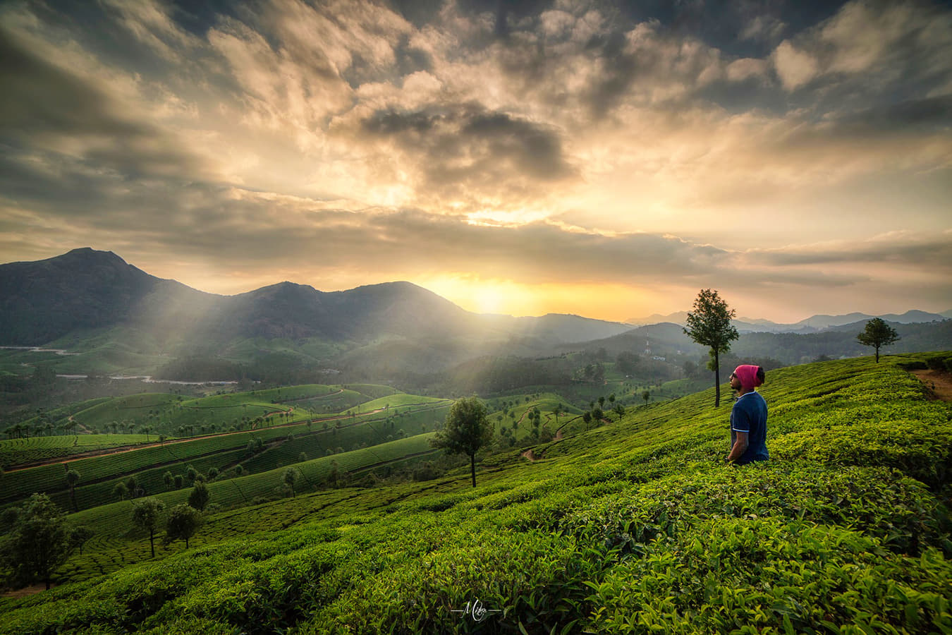 35 Things to Do in Munnar 2024 | Book & Get Upto 35% Off