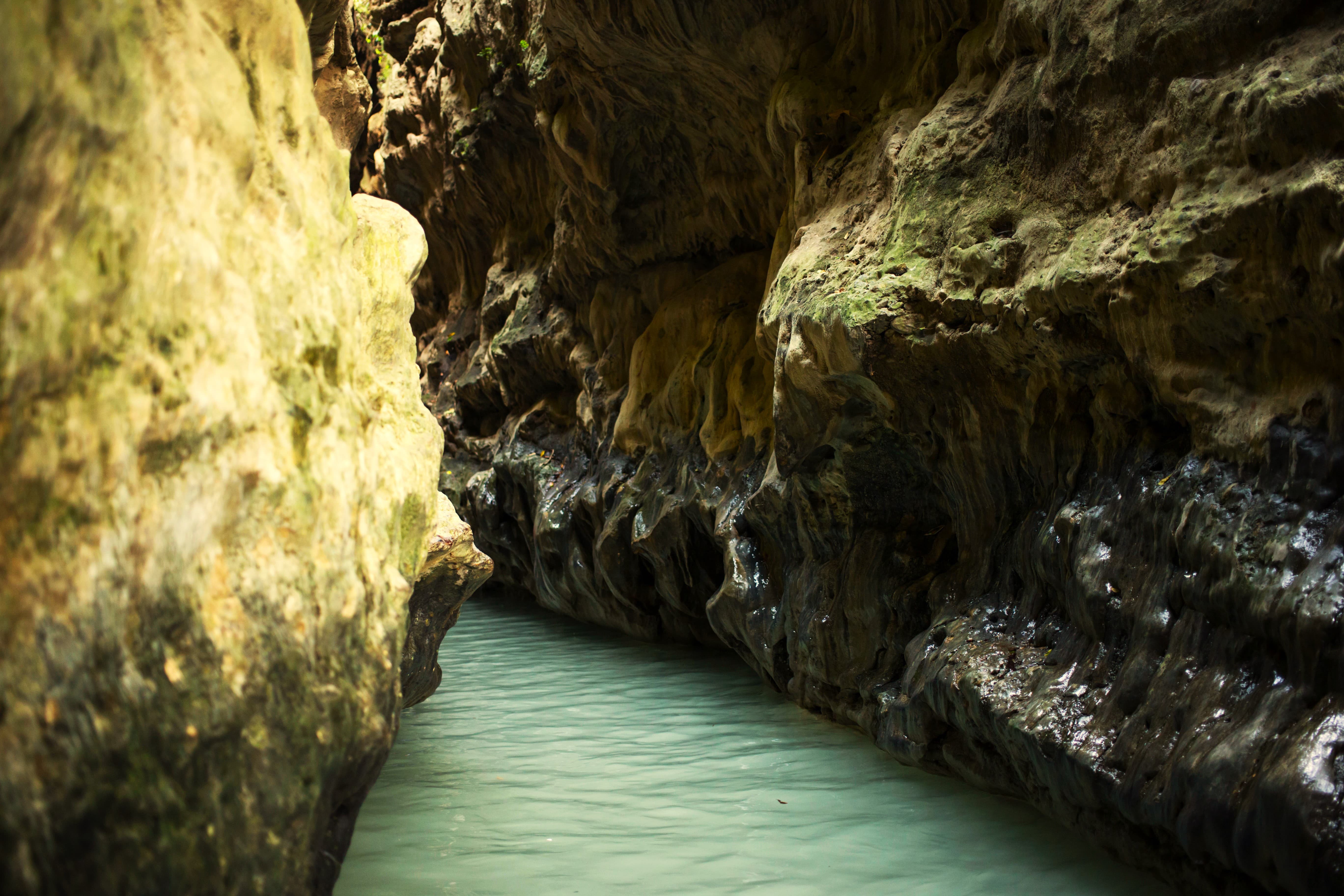 Discover Dazzling Duo | Dehradun Mussoorie