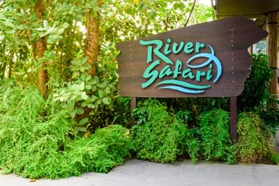 Discover Animals & Zones at River Wonders | Explore Wildlife