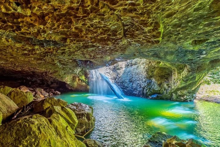 Discover 10 National Parks To Visit in Gold Coast!