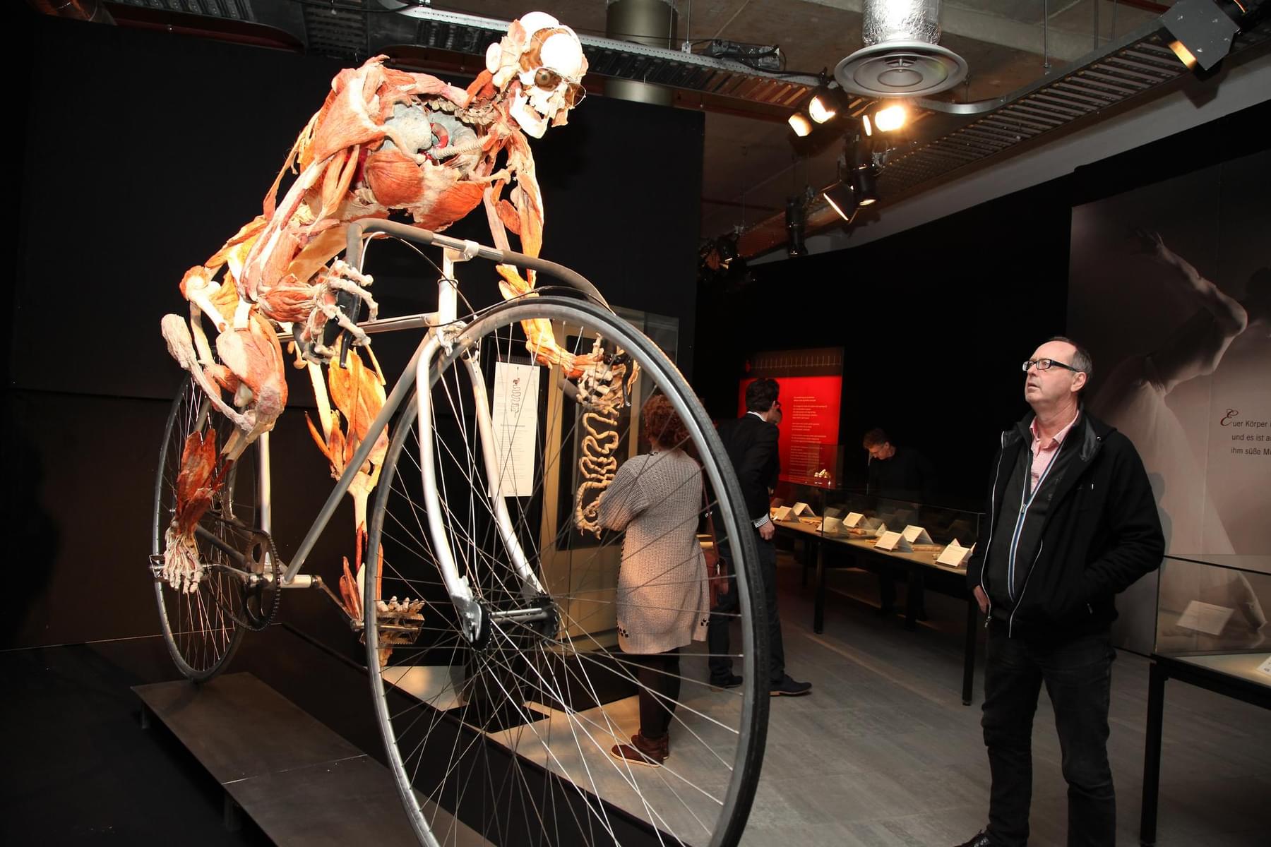 Body Worlds Amsterdam | Journey of Fascinating Human Body