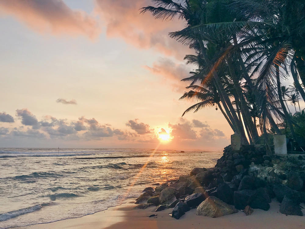 15 Places to Visit in Mirissa, Tourist Places & Top Attractions