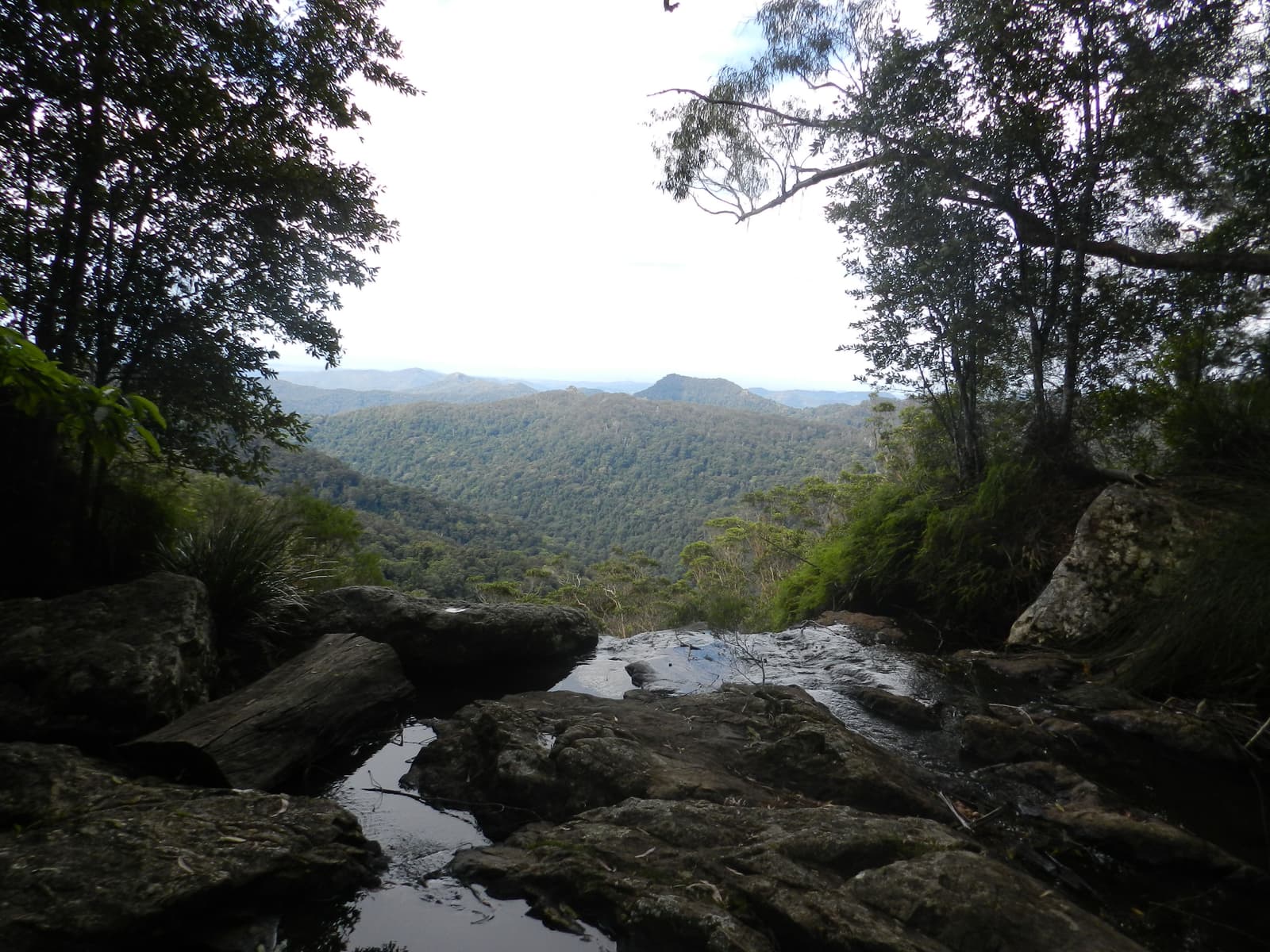 Springbrook National Park | A Lush And Verdant Escape