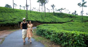 Coorg Coffee Plantation Tour