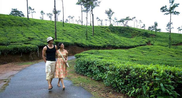 Coorg Coffee Plantation Tour