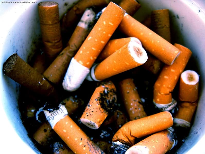 Red Light District Rules Amsterdam: Checkout The Do's & Don'ts