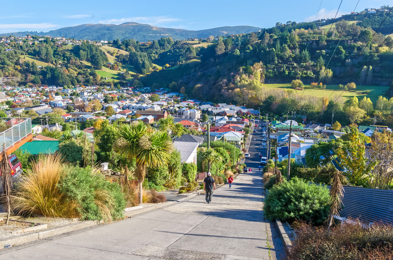 25 Places to Visit in Dunedin, Tourist Places & Top Attractions