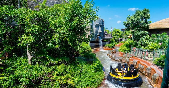 Ocean Park Hong Kong Rides | Everything You Need to Know