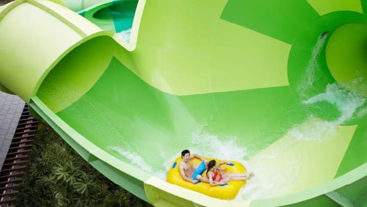 Adventure Cove Waterpark: Where Fun Meets Sun and Water!