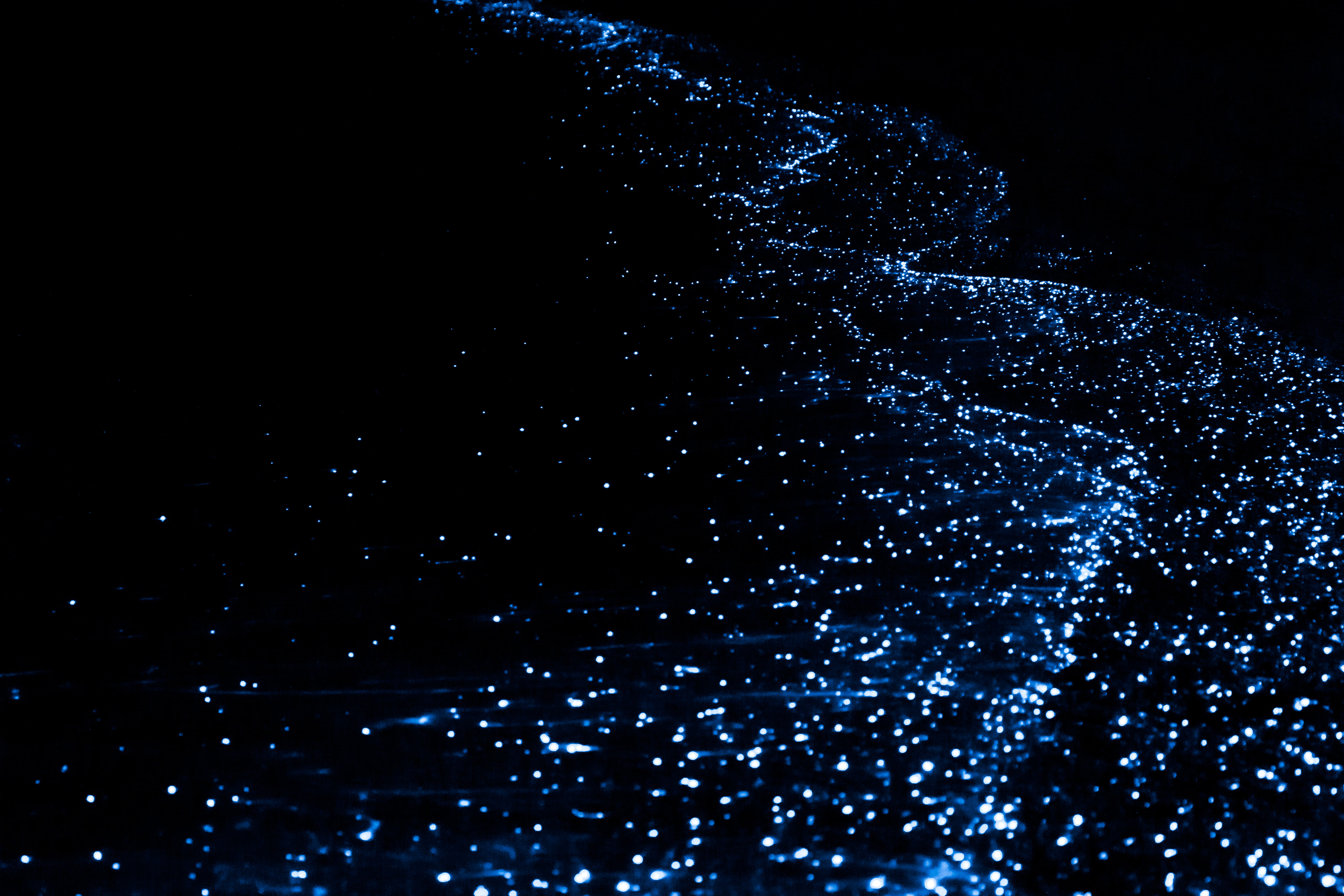 Maldives Glowing Beach, Maldives: How To Reach, Best Time & Tips