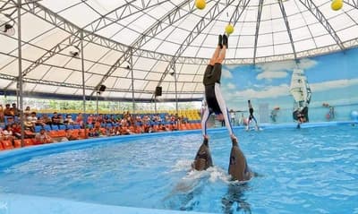 15 Things To Do In Phuket For A Thrilling & Adventurous Outing