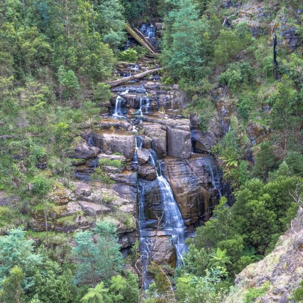 14 Things To Do In Yarra Valley For A Joyful Trip!