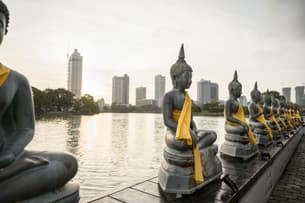 7stqc0v0ek8ta7o594ui5t0udecb colombo%208