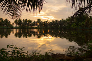 35 Places to Visit in Alleppey 2025, Tourist Places & Attractions