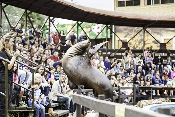 Singapore Zoo Opening Hours & More: Plan Your Perfect Day