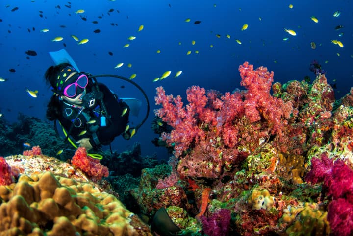 6 Places To Go Scuba Diving In London