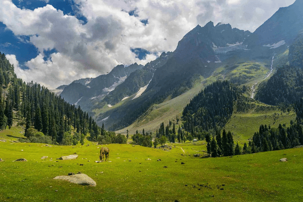 15 Places to Visit in Pahalgam, Tourist Places & Top Attractions