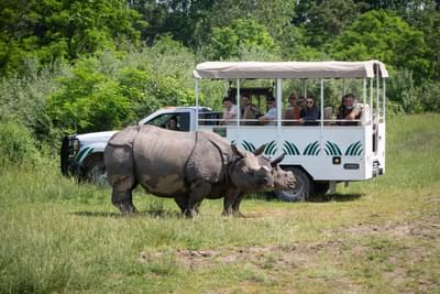 15 Drive-Through Zoos In USA | Witness The Amazing Wildlife