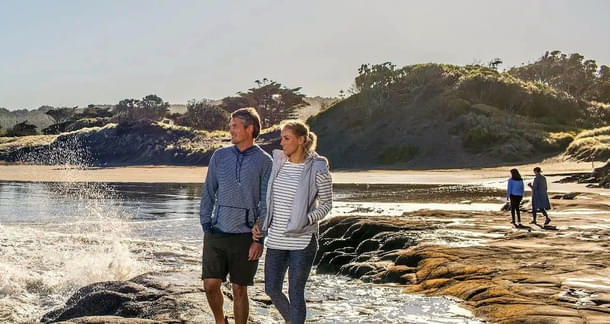 35 Places to Visit in Auckland, Tourist Places & Top Attractions