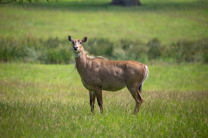 9 Zoos In London For An Amazing Wildlife Experience