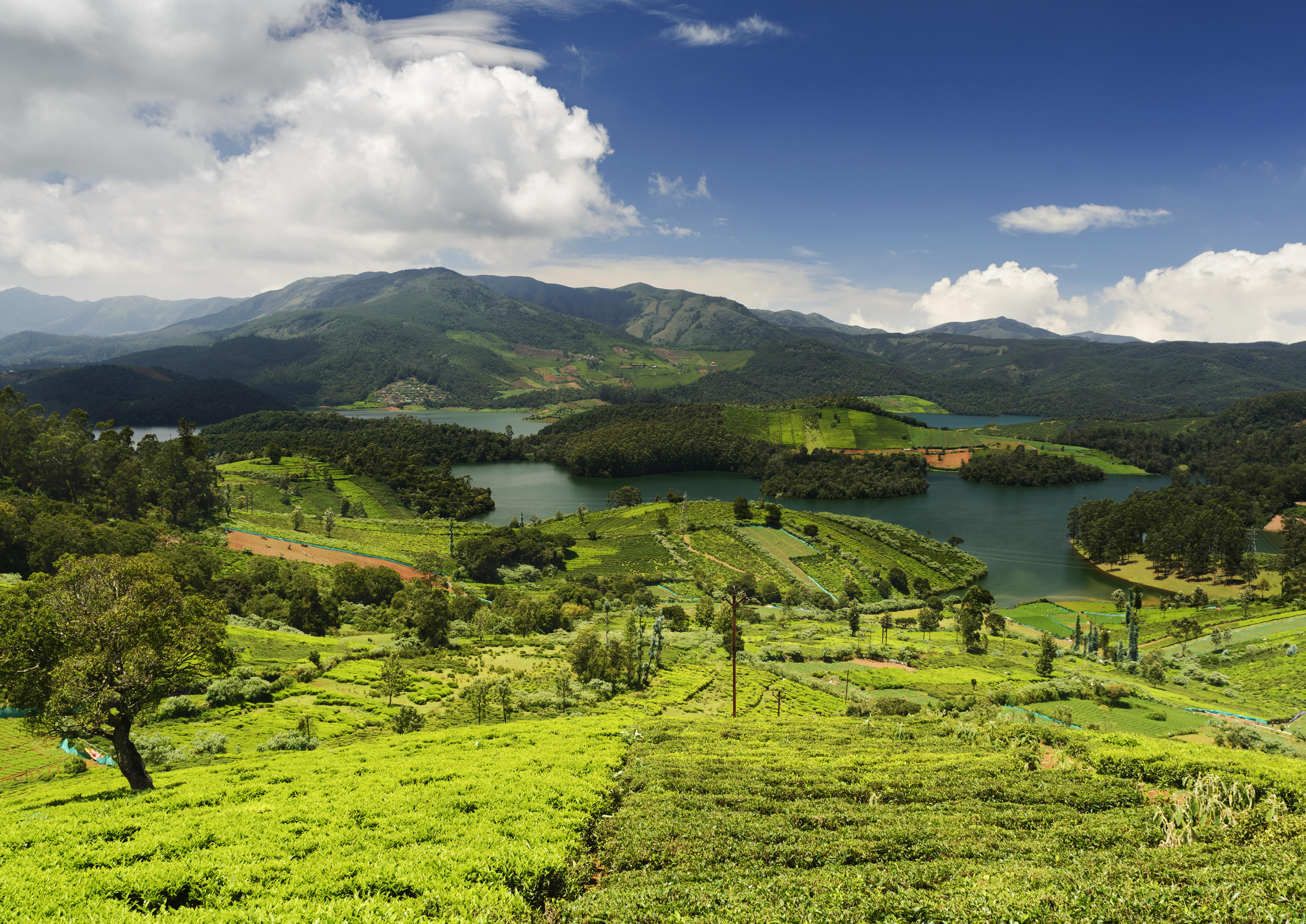 Bangalore, Mysore and Ooty Tour Package