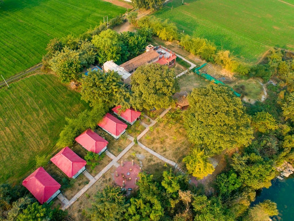 5 Best Resorts in Panna National Park - With Comforts of the Wild!