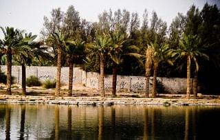 15 Things To Do In Riyadh For A Fun Day Out!