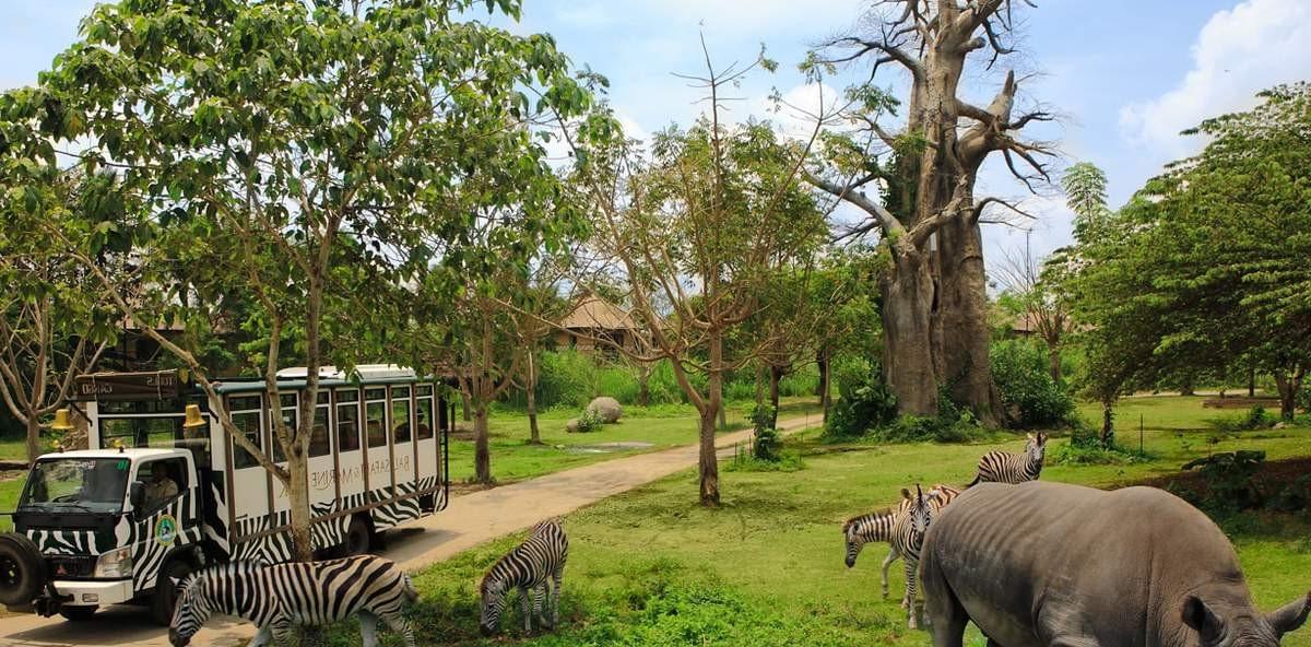 Best of Bali | FREE Bali Safari Park Experience
