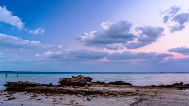 9 Places to Visit in Yas Island | An Unforgettable Experience